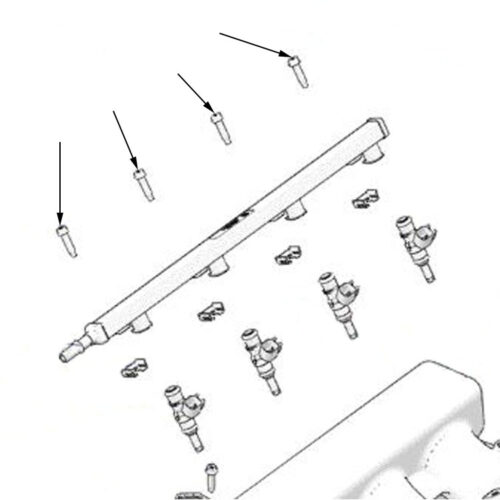 Titanium Fuel Rail Bolts (2022-2024 Polaris RZR Pro R)