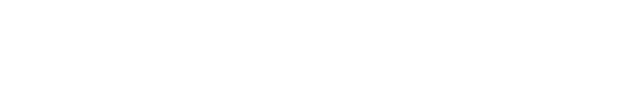 RaceTech Titanium Logos - RaceTech Titanium